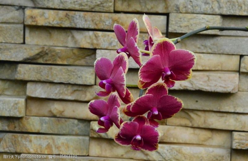 王后高清图片-第14页-图行天下素材网