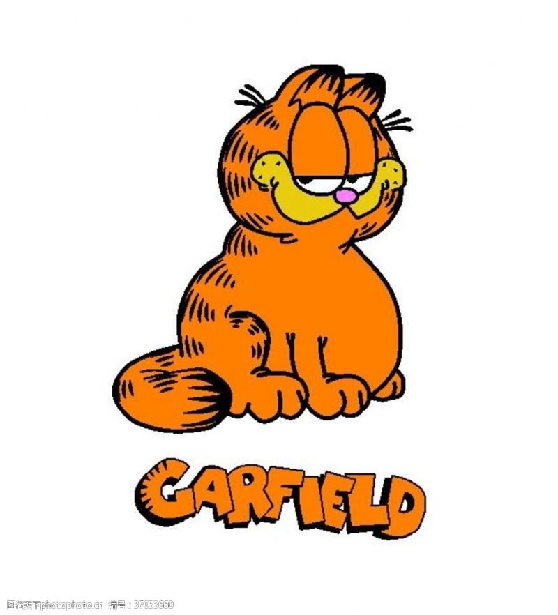 可爱加菲猫图片免费下载_可爱加菲猫素材_可爱加菲猫模板-图行天下素材网