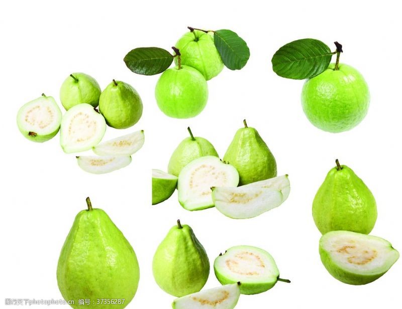 番石榴图片免费下载-第4页-图行天下素材网