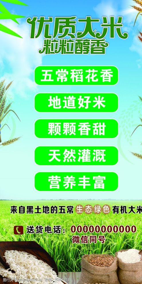 晾晒的大米插画图图片素材-编号32298148-图行天下