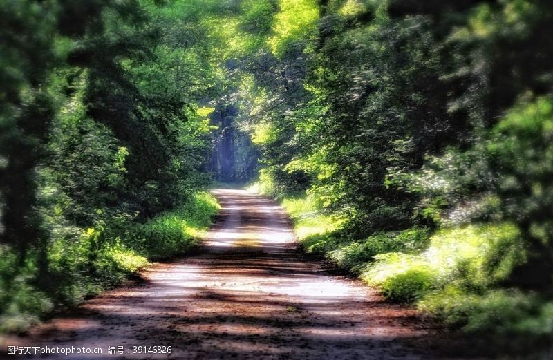 大树下风景高清图片-第2页-图行天下素材网